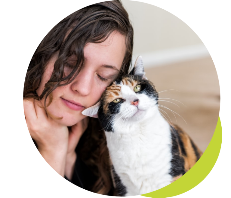 Cat Euthanasia At Home UK | Cat Euthanasia | Cloud 9 Vets